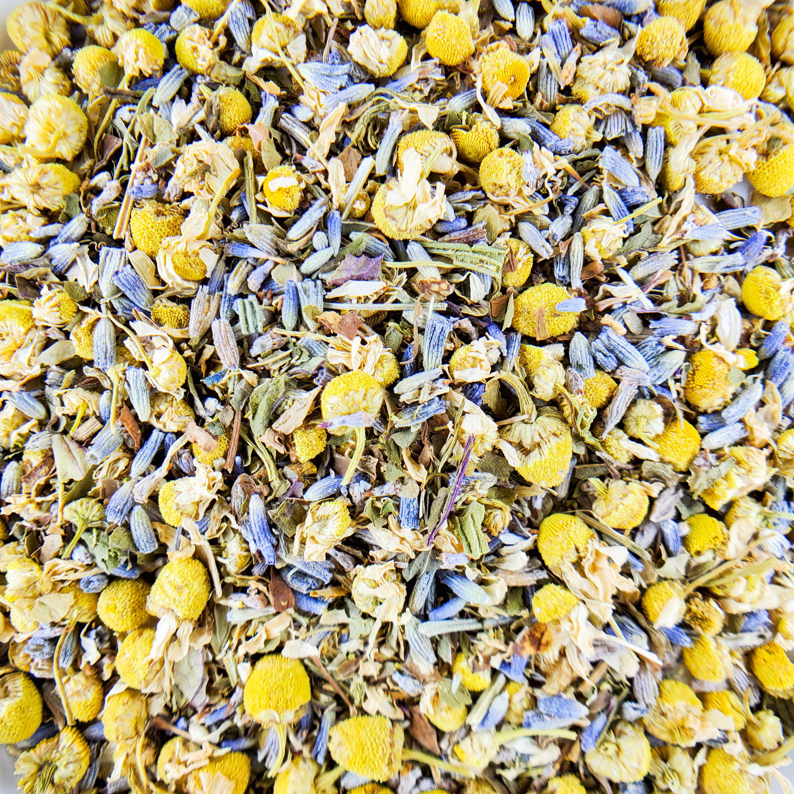 Good Knight | Casting Whimsy