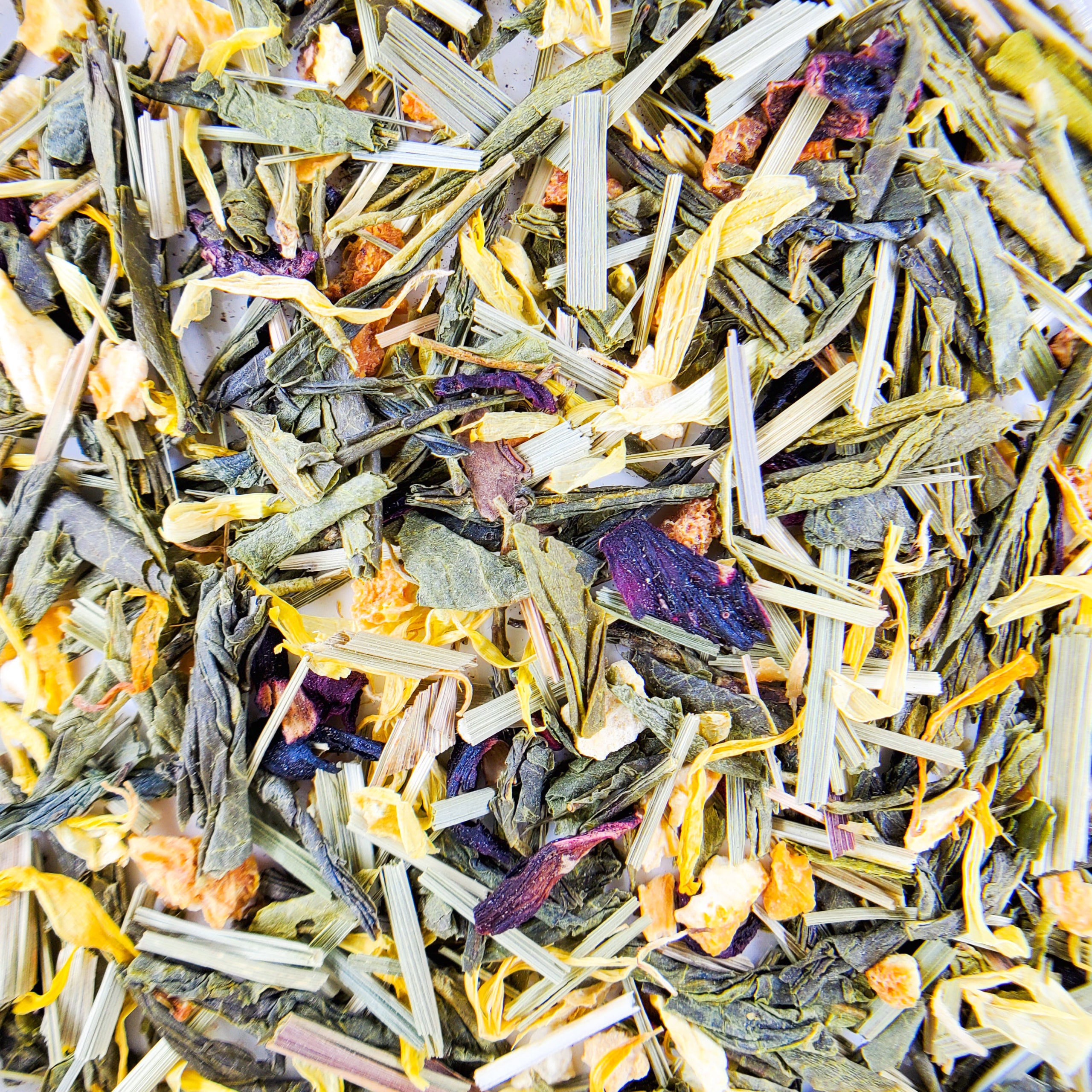 Wanderlust | Casting Whimsy