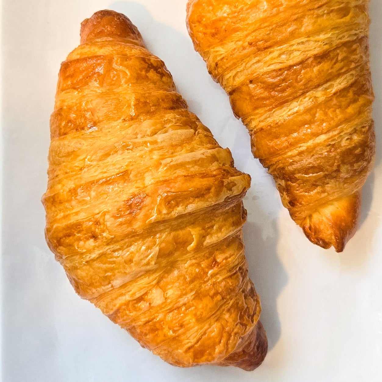 Croissant | Casting Whimsy