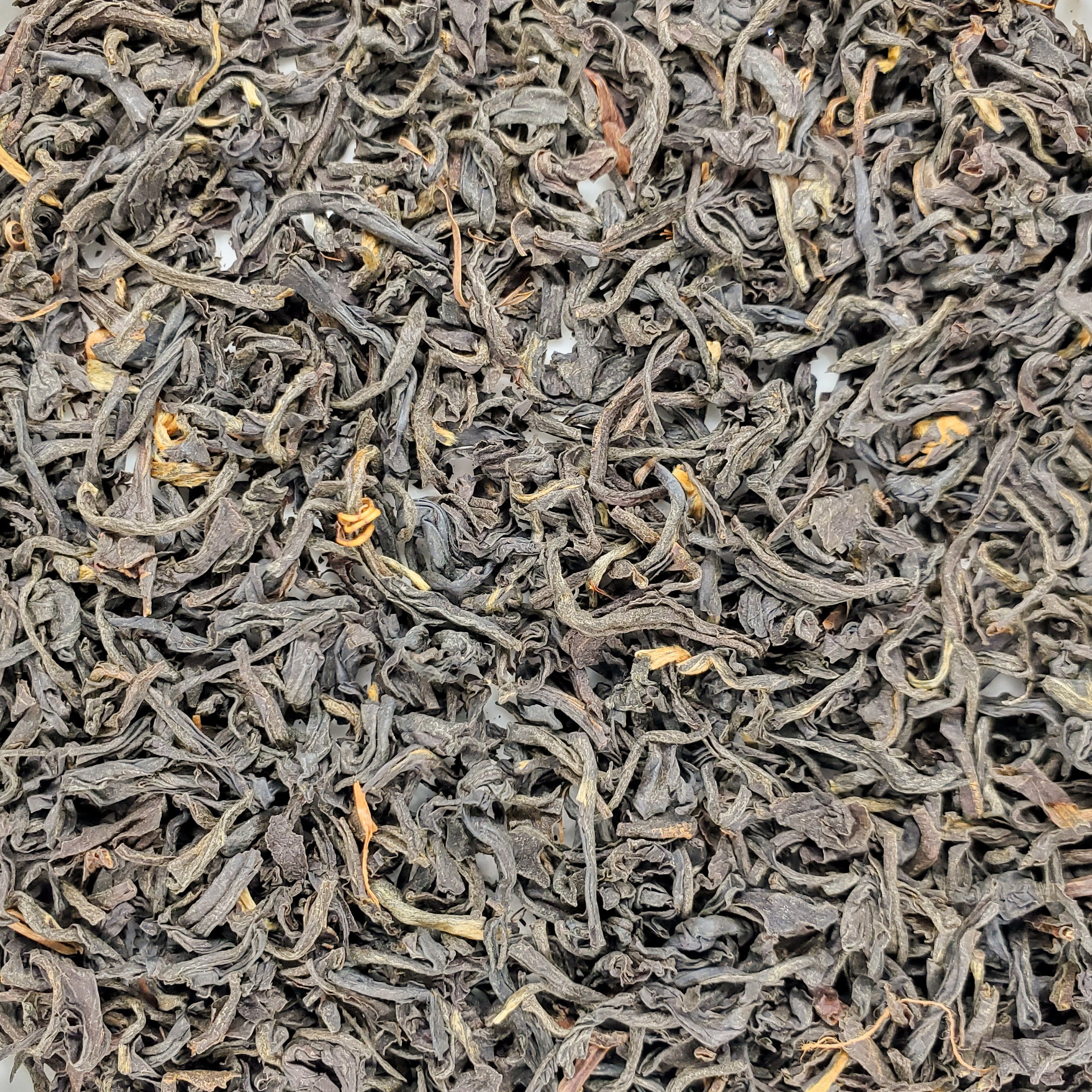 Vanta | Casting Whimsy