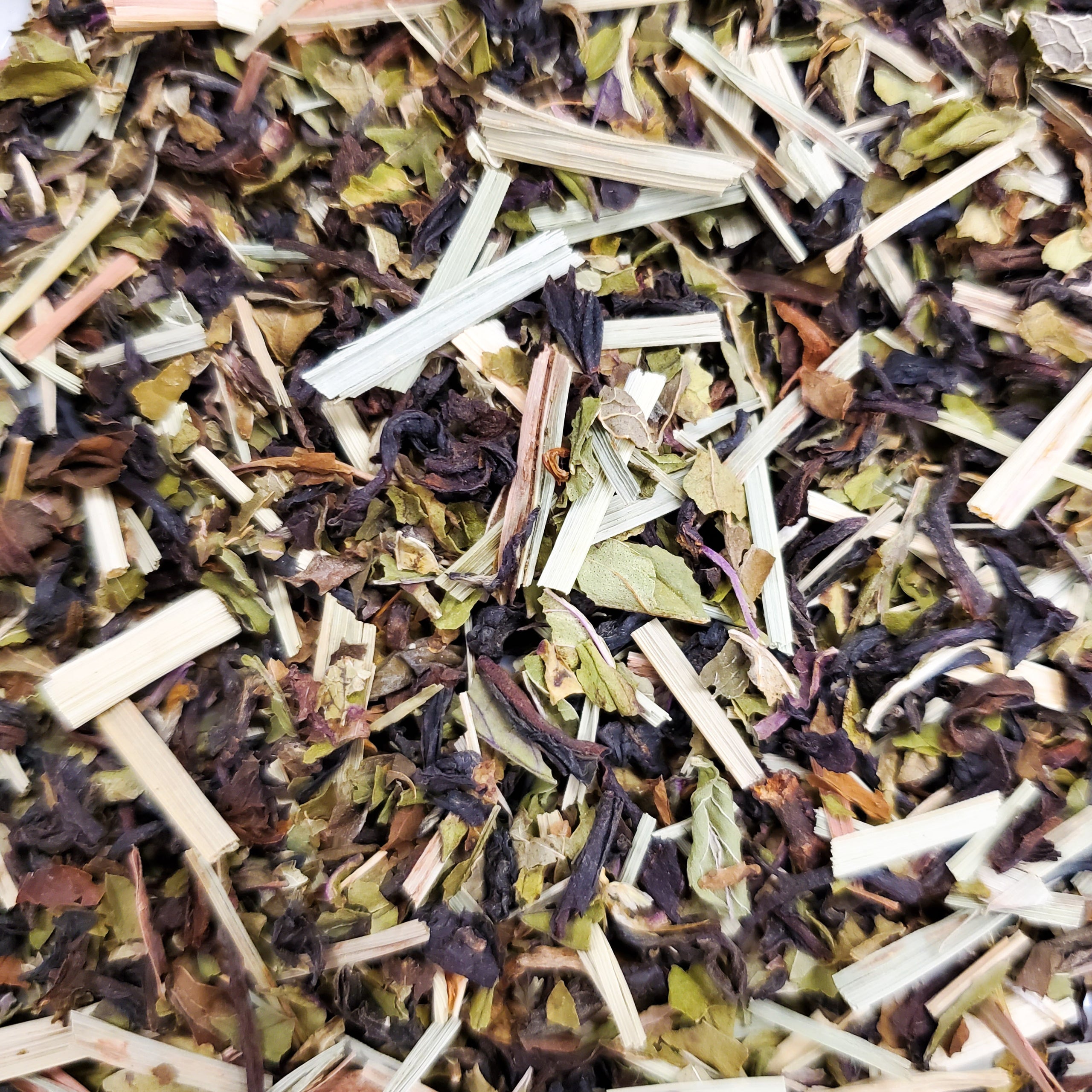 Base Camp | Casting Whimsy