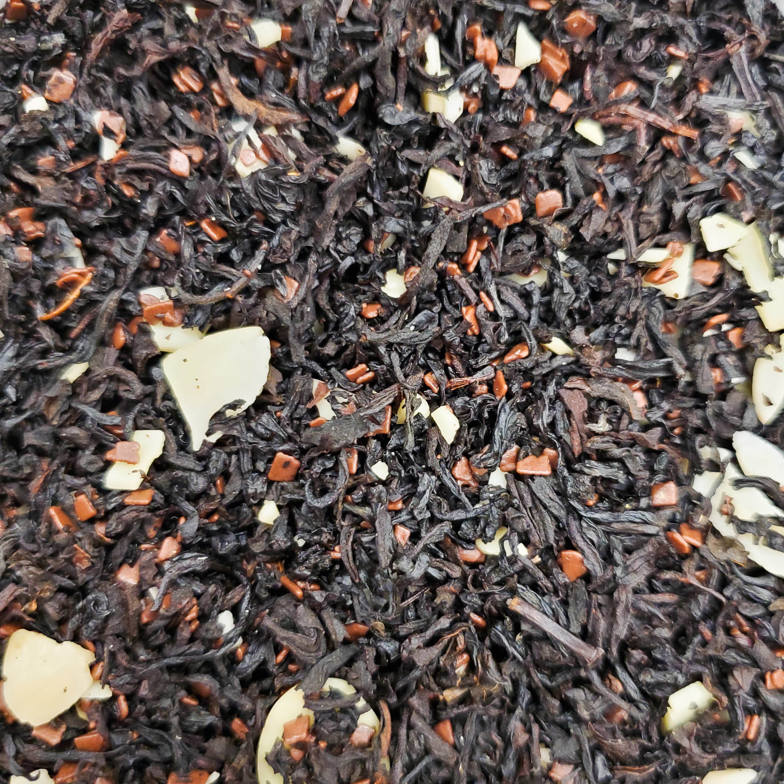 Vito | Casting Whimsy