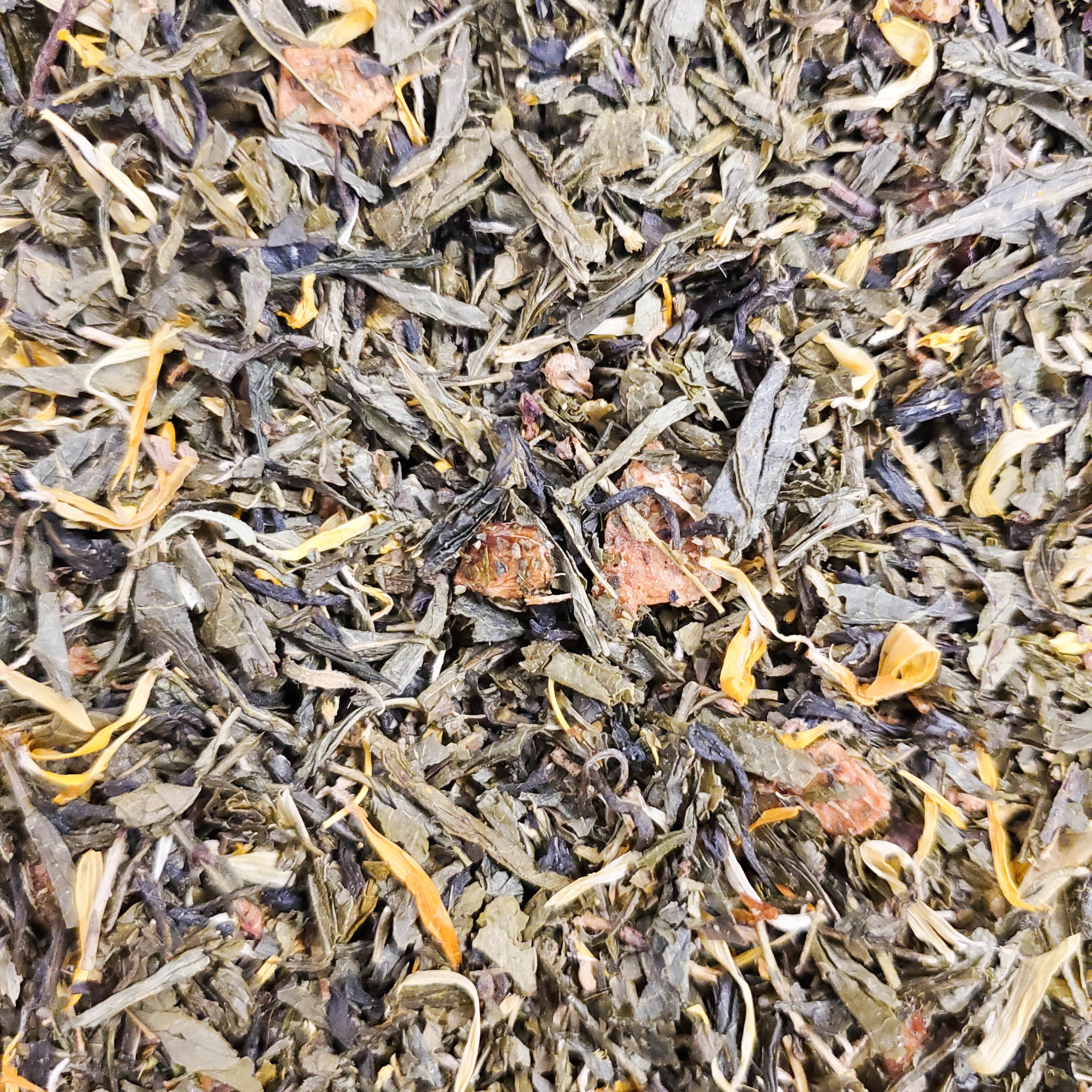 ZJasmine Dragon | Casting Whimsy