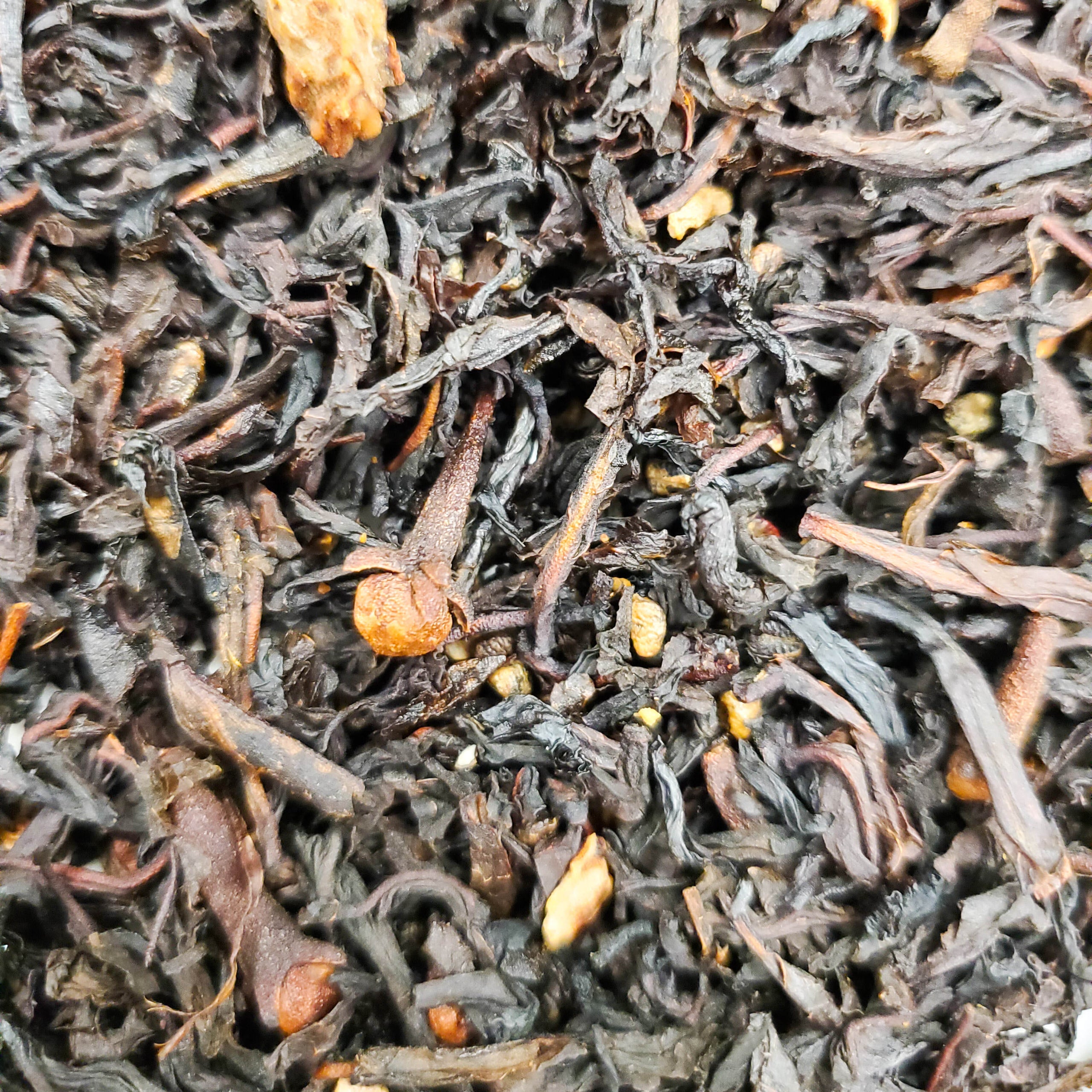 Scuttlebutt | Casting Whimsy