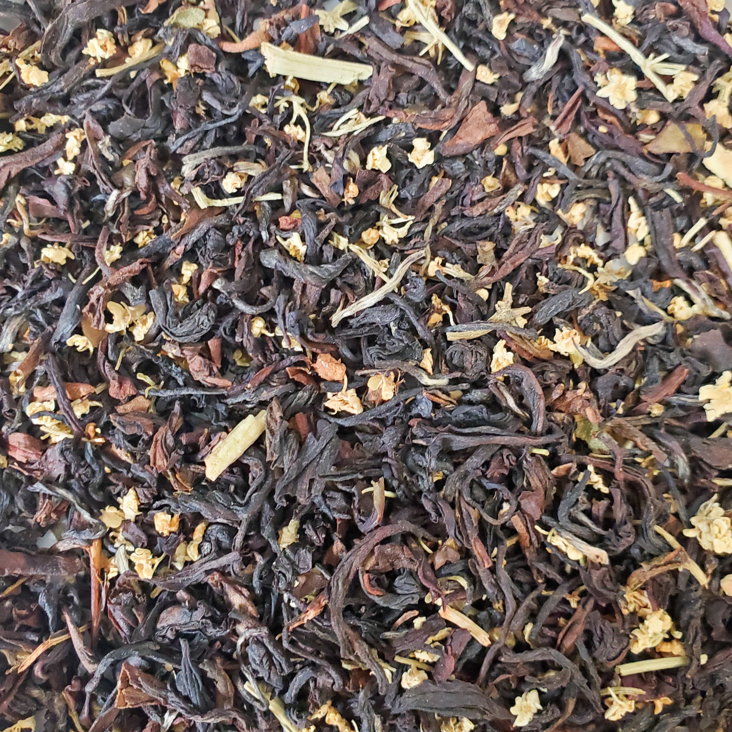 Lady Ellhorn | Casting Whimsy