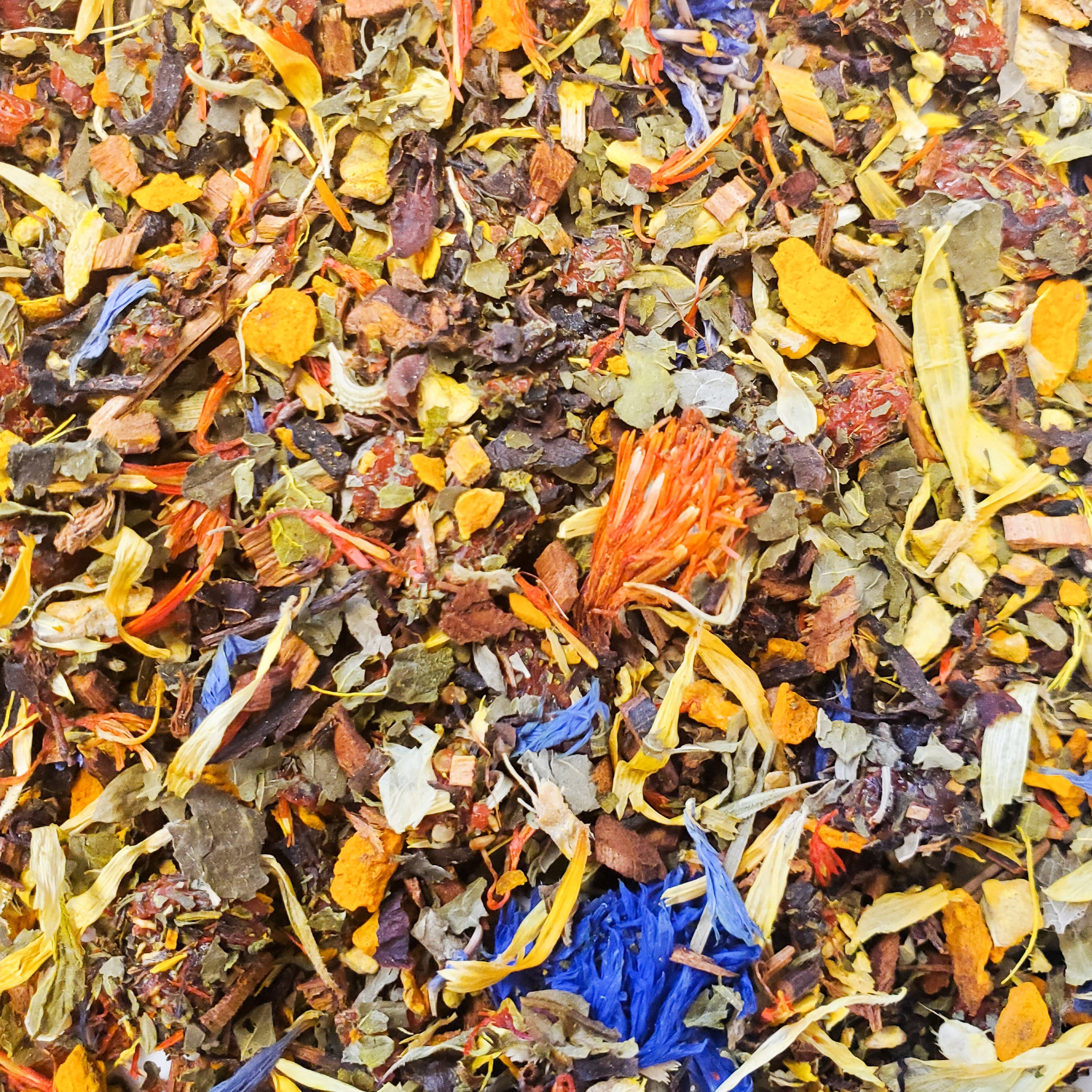 Down the Rabbit Hole | Casting Whimsy