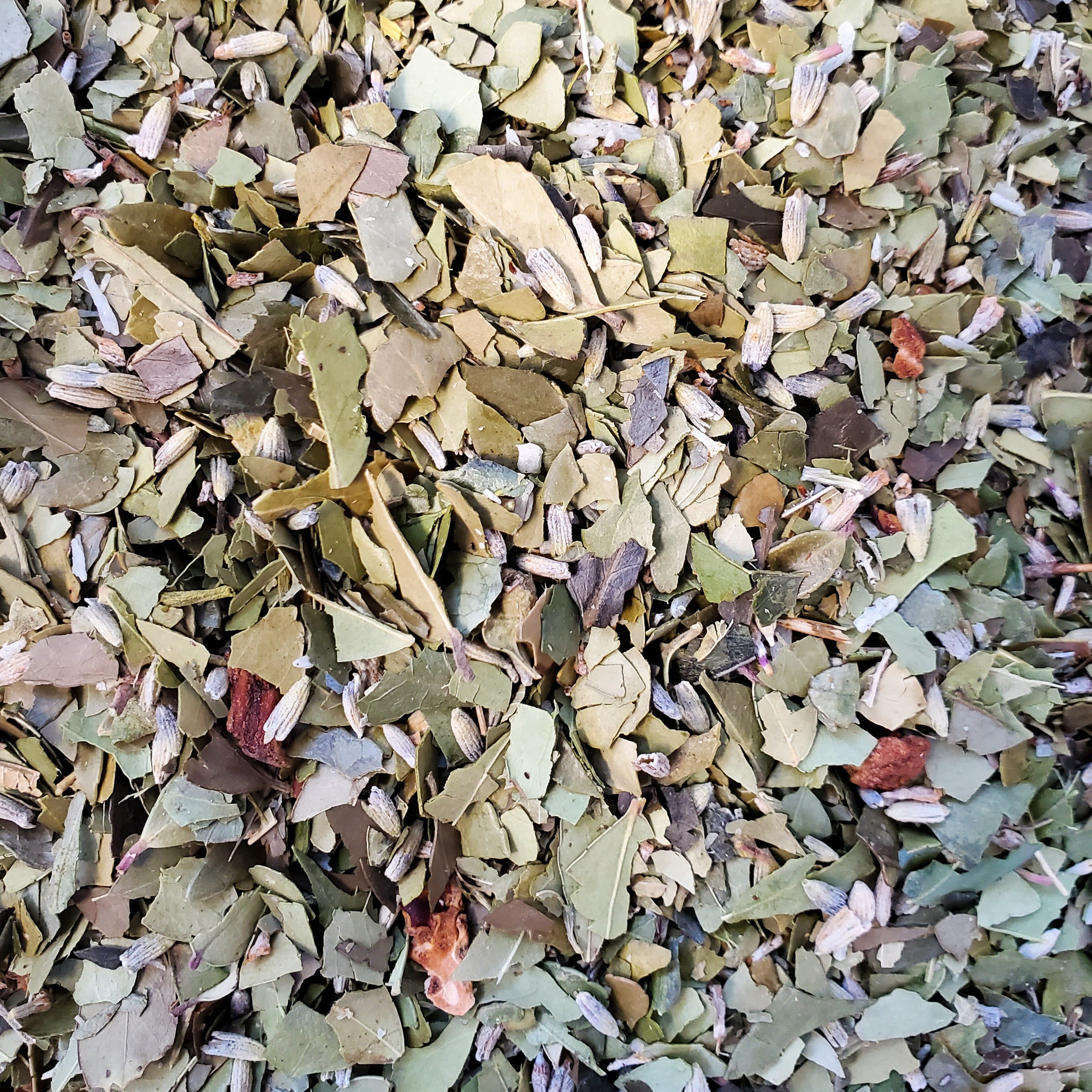 Once Yaupon a Time | Casting Whimsy