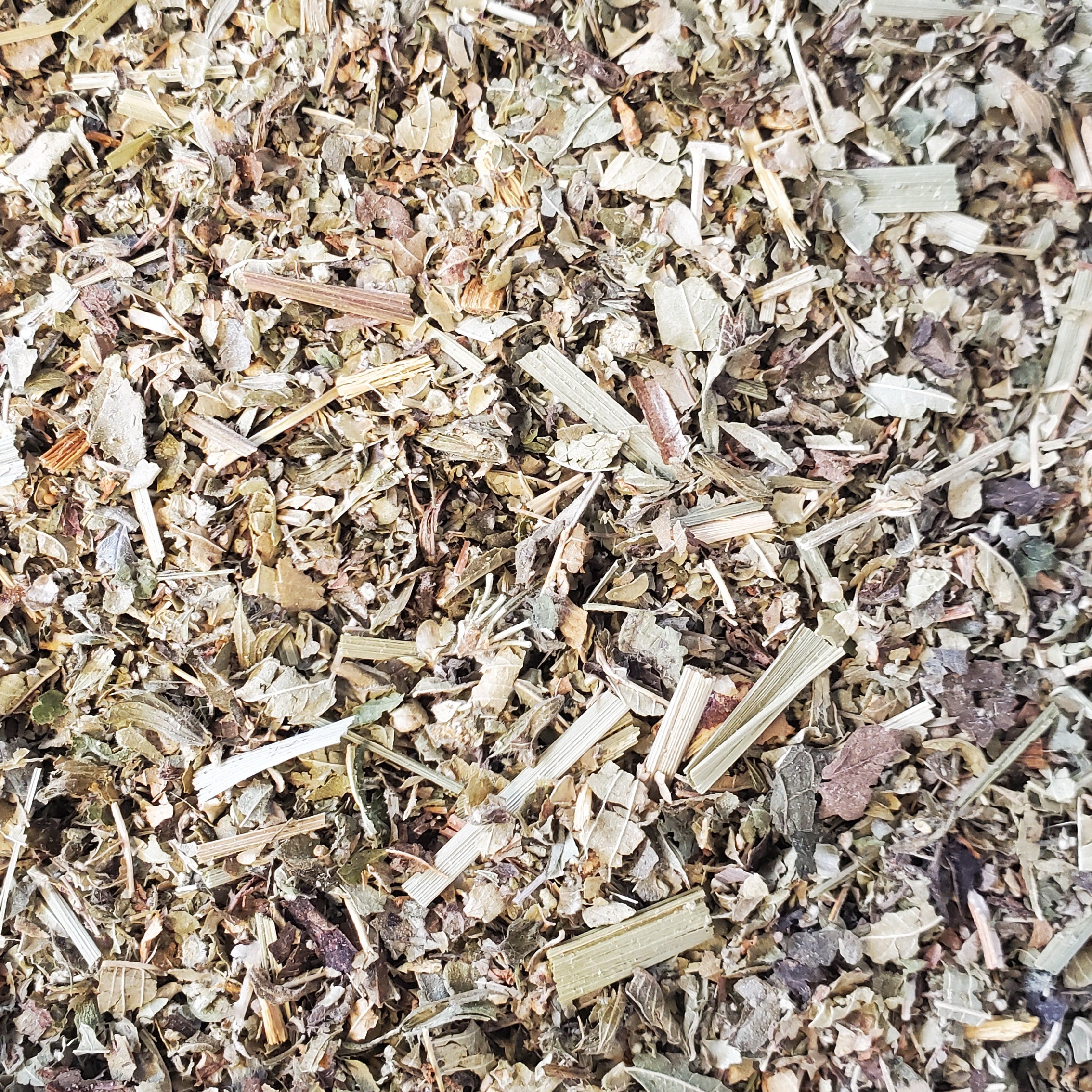 Sage Advice | Casting Whimsy