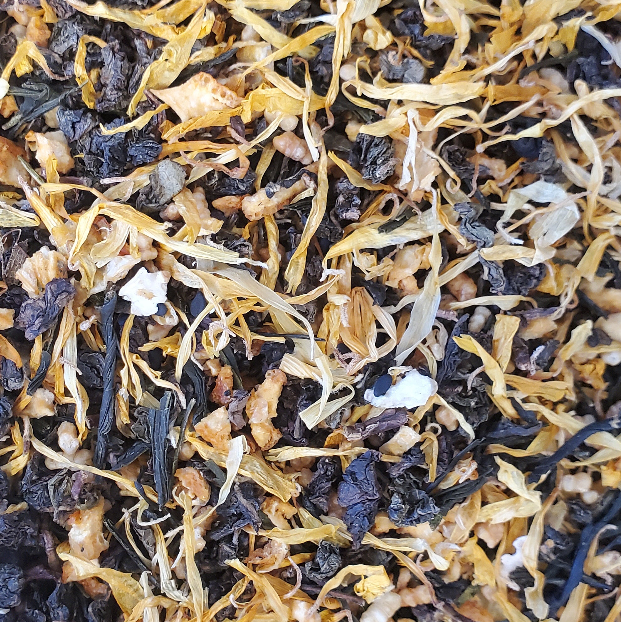 Open Sesame | Casting Whimsy