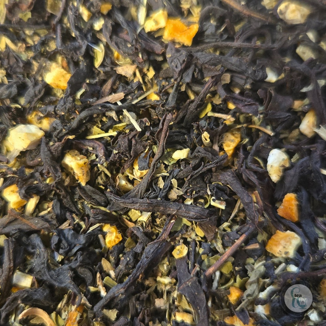 Constitution+1 | Casting Whimsy